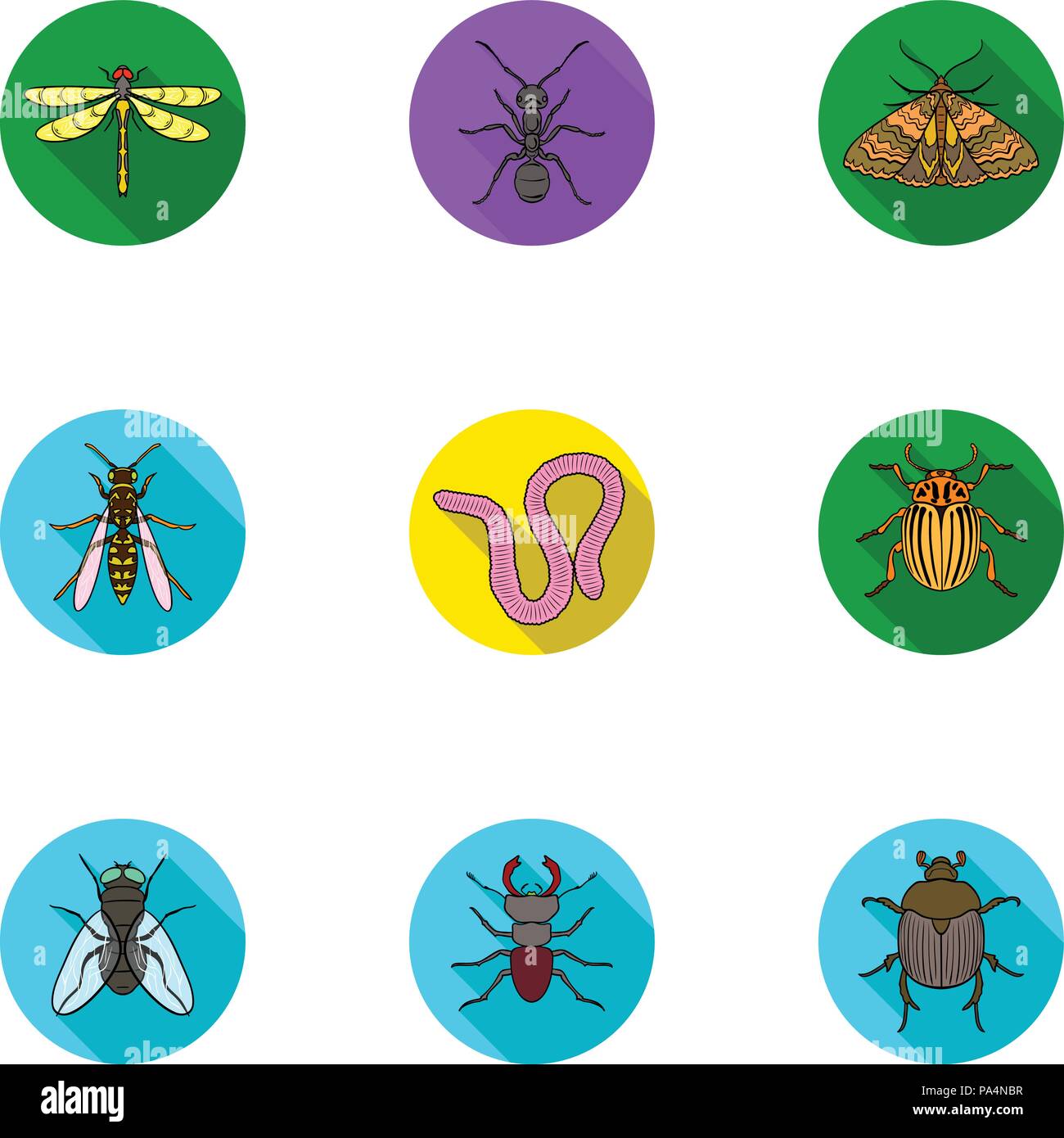 Insects set icons in flat design. Big collection of insects vector ...