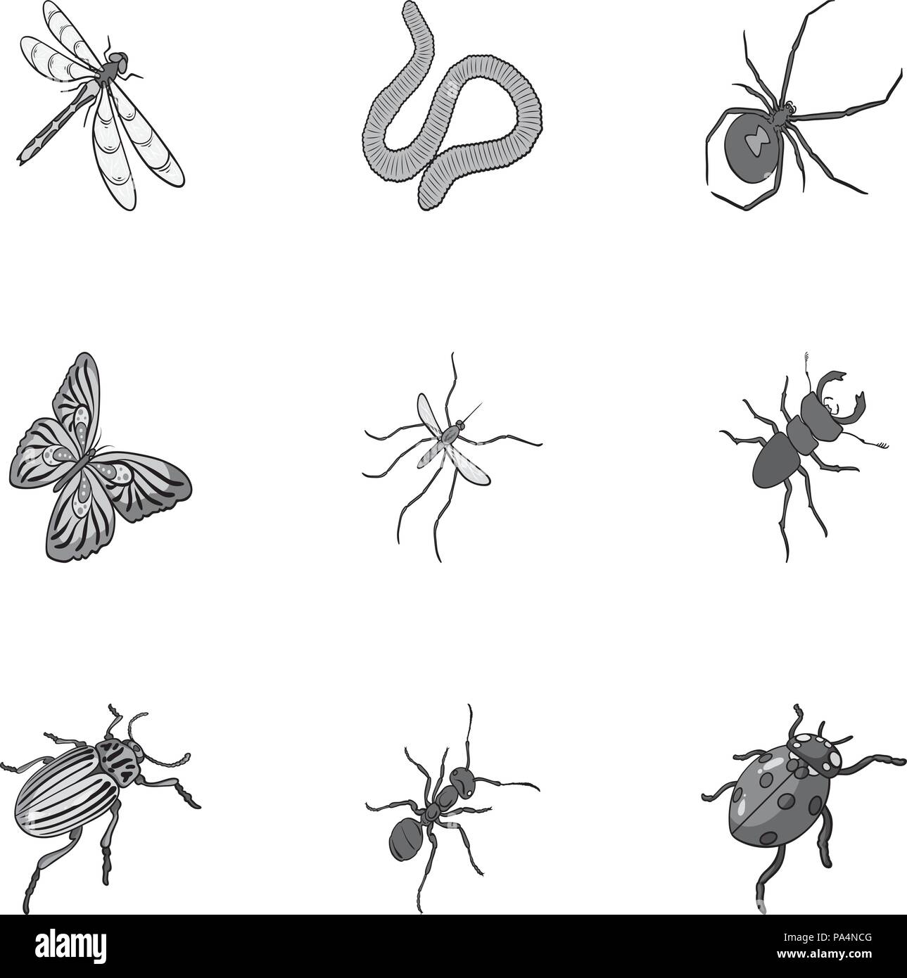 Species of stinging insects Stock Vector Images - Alamy