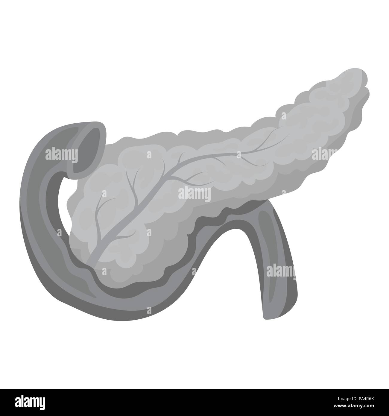 Pancreas icon in monochrome style isolated on white background. Organs ...