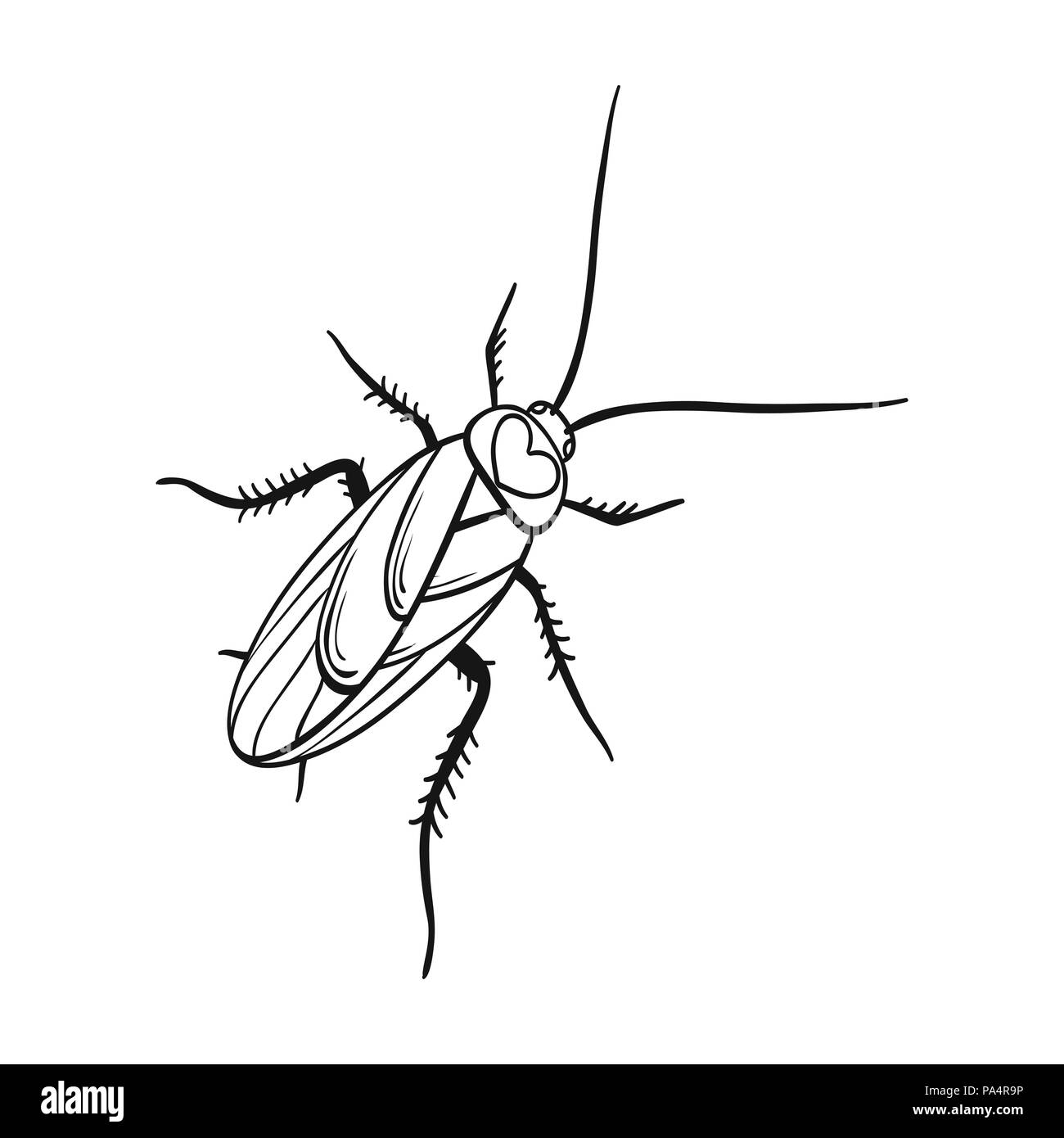 A mustachioed cockroach. Arthropod insect, cockroach single icon in ...