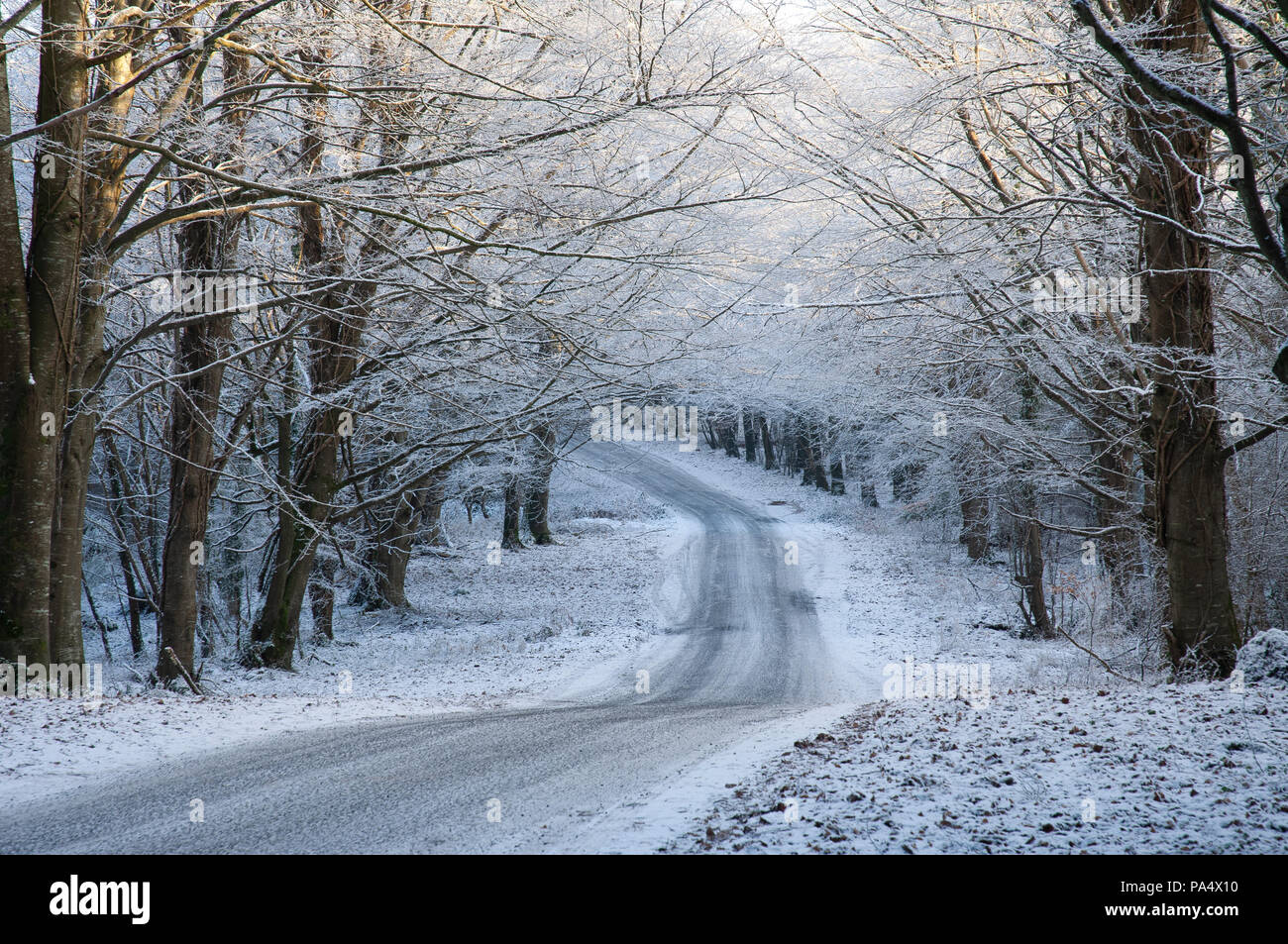 Light snow scenes with tree's and river with frost and ice Stock Photo ...
