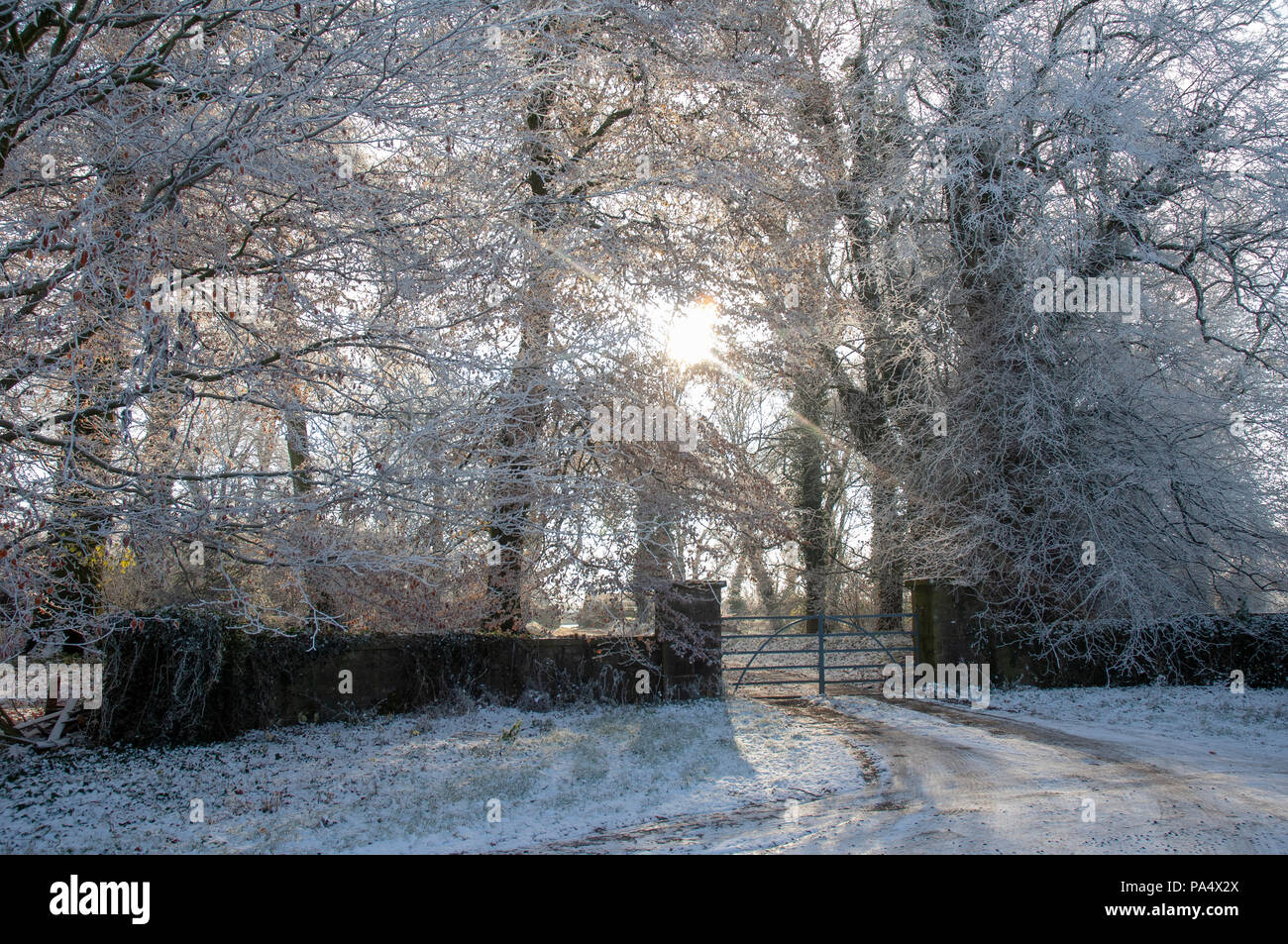 Light snow scenes with tree's and river with frost and ice Stock Photo ...