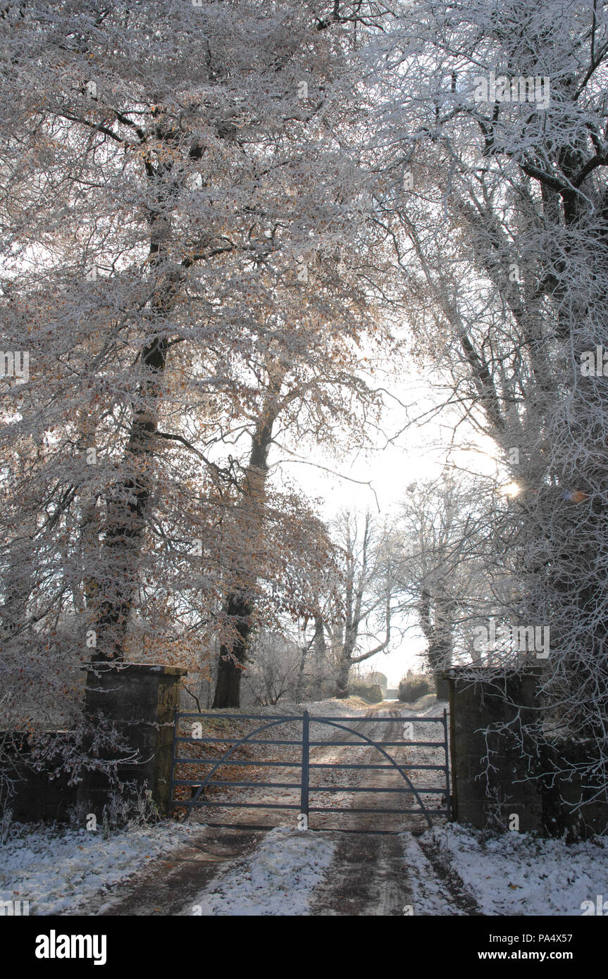 Light snow scenes with tree's and river with frost and ice Stock Photo ...