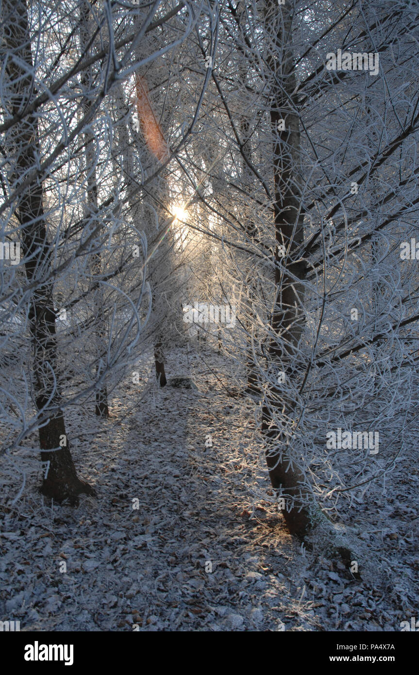Light snow scenes with tree's and river with frost and ice Stock Photo ...