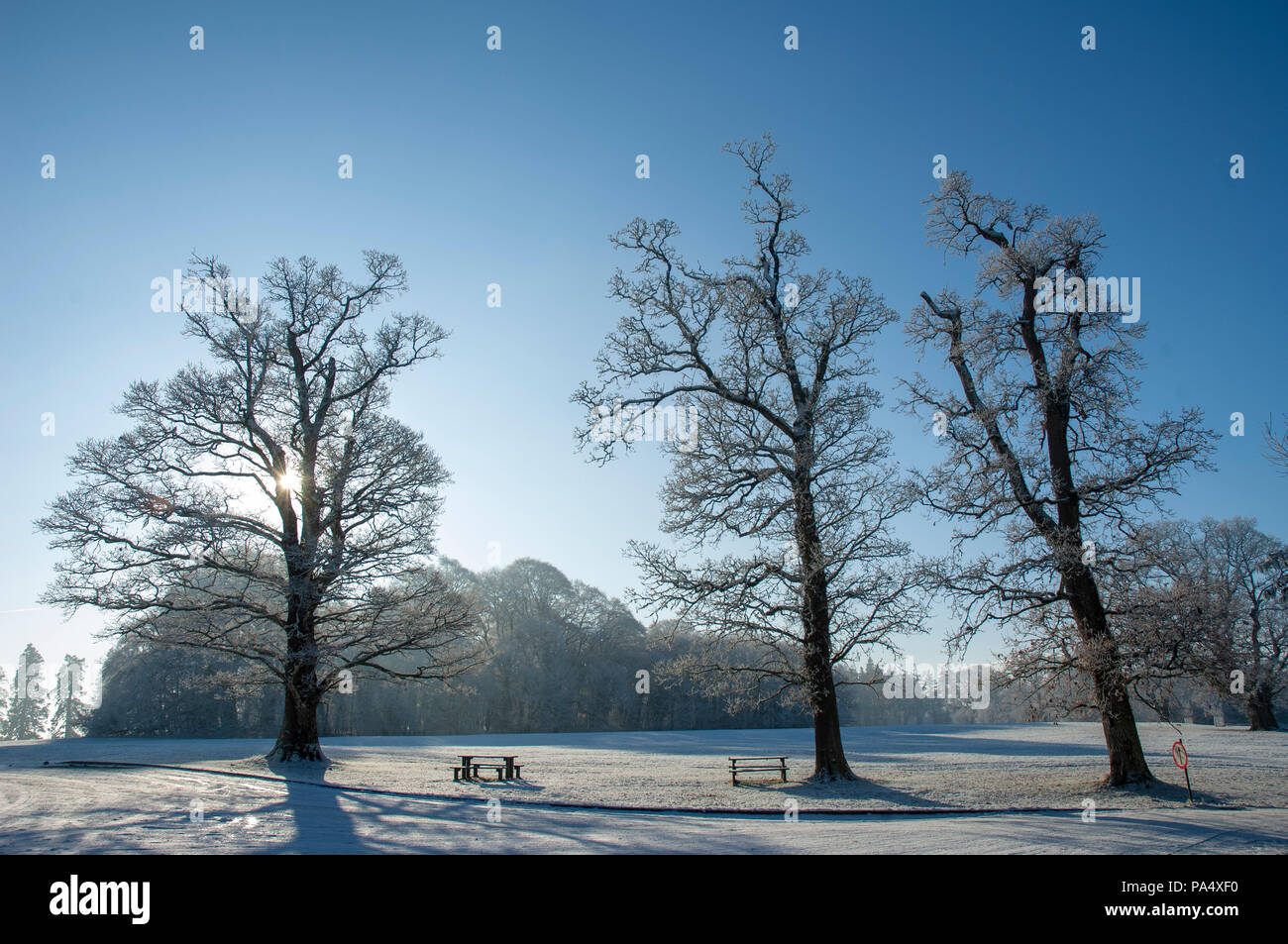 Light snow scenes with tree's and river with frost and ice Stock Photo ...