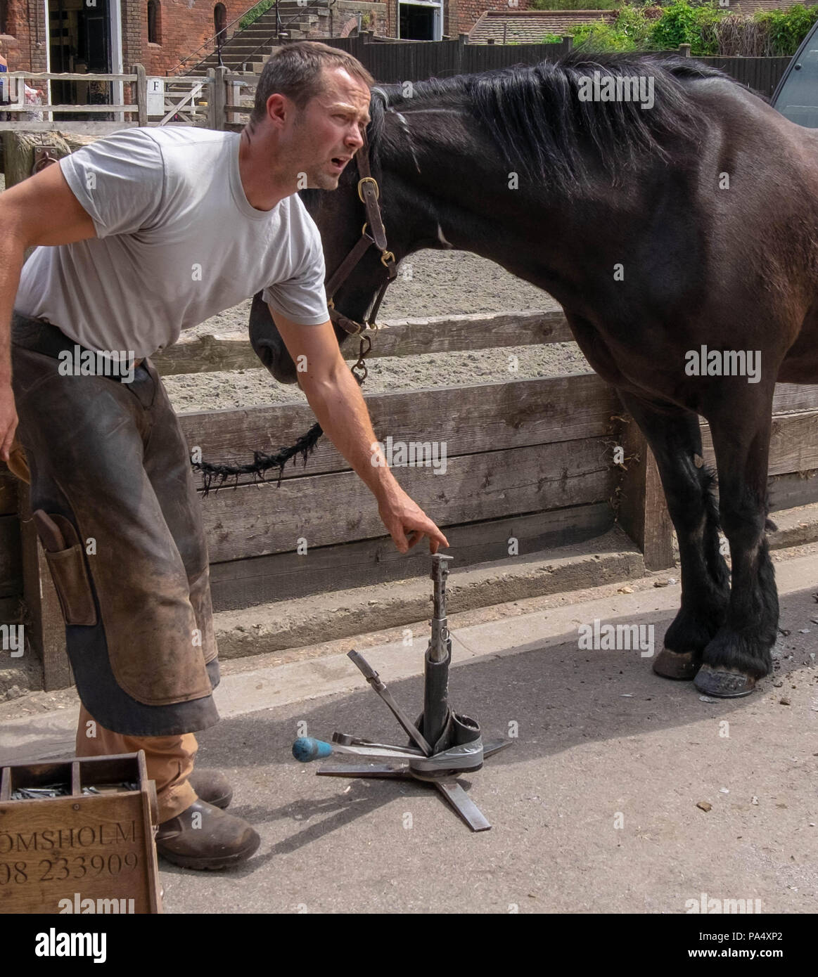 black horse and farrier Stock Photo - Alamy