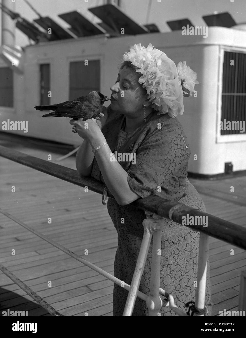 New forest tradition Black and White Stock Photos & Images - Alamy