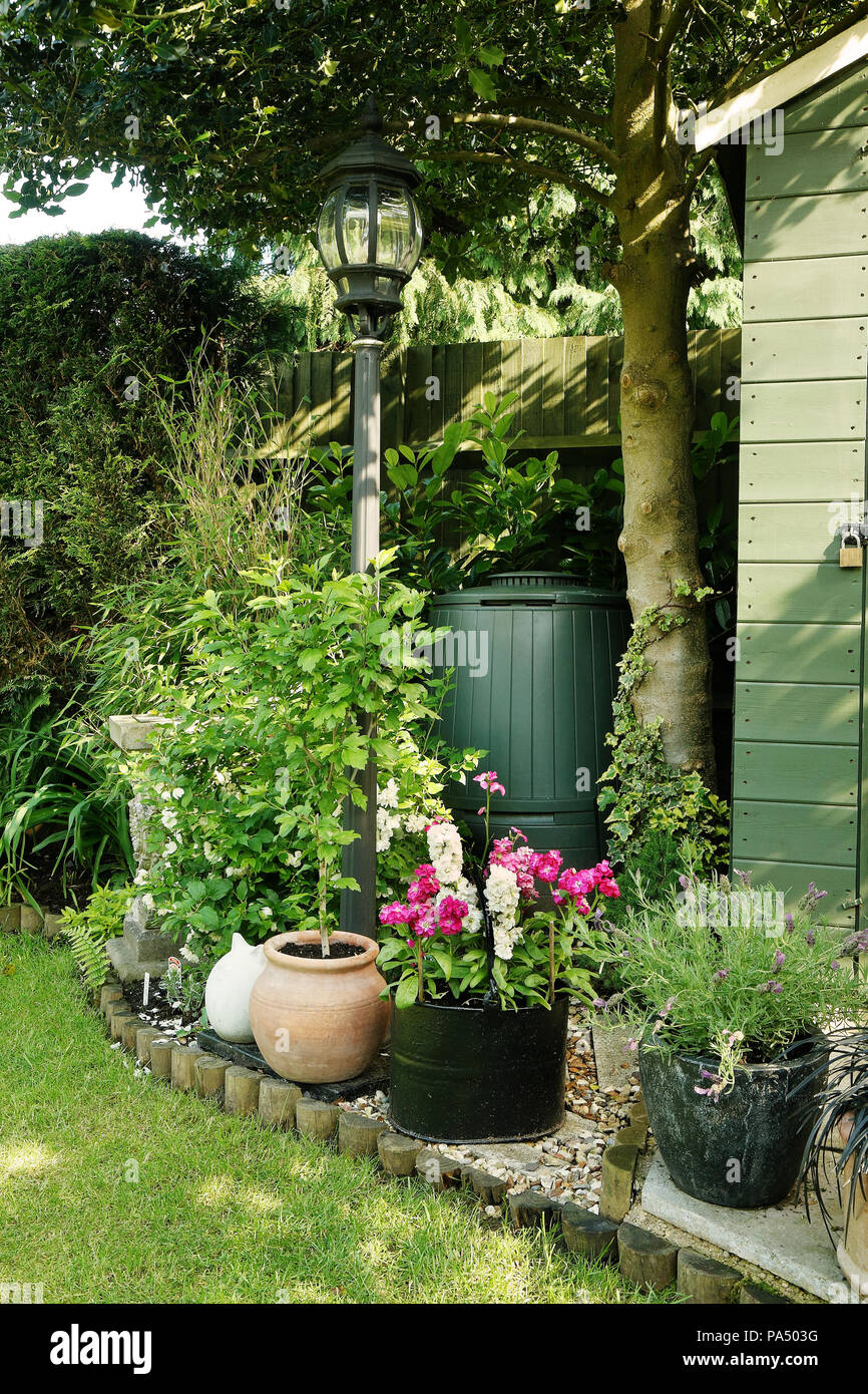 English back garden corner with shed, compost bin and planters Stock ...