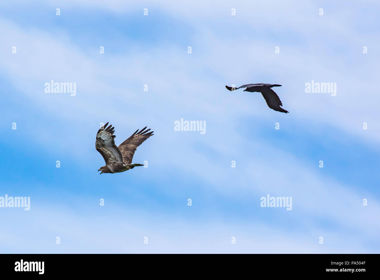 Chased by clouds hi-res stock photography and images - Alamy