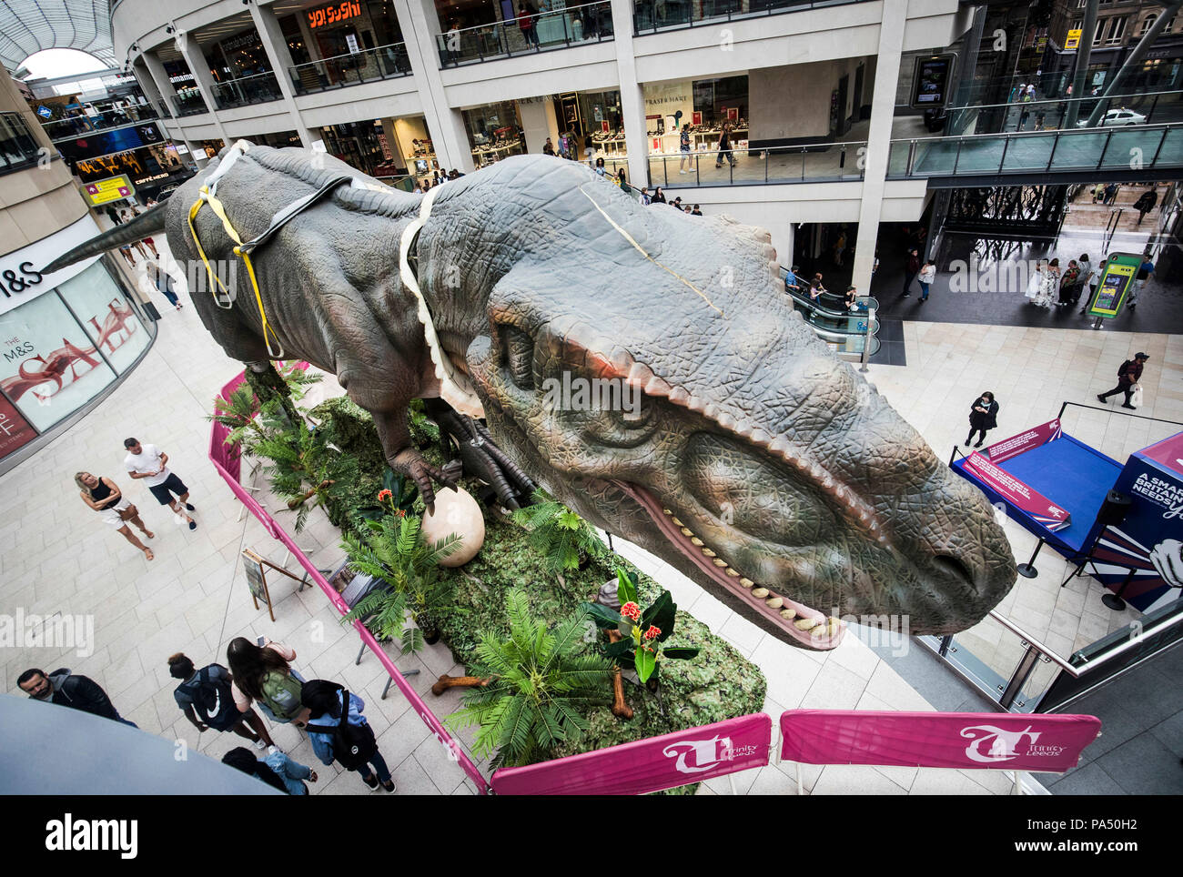 The UKÕs largest animatronic T-Rex which stands at 18 metres long and 8 ...