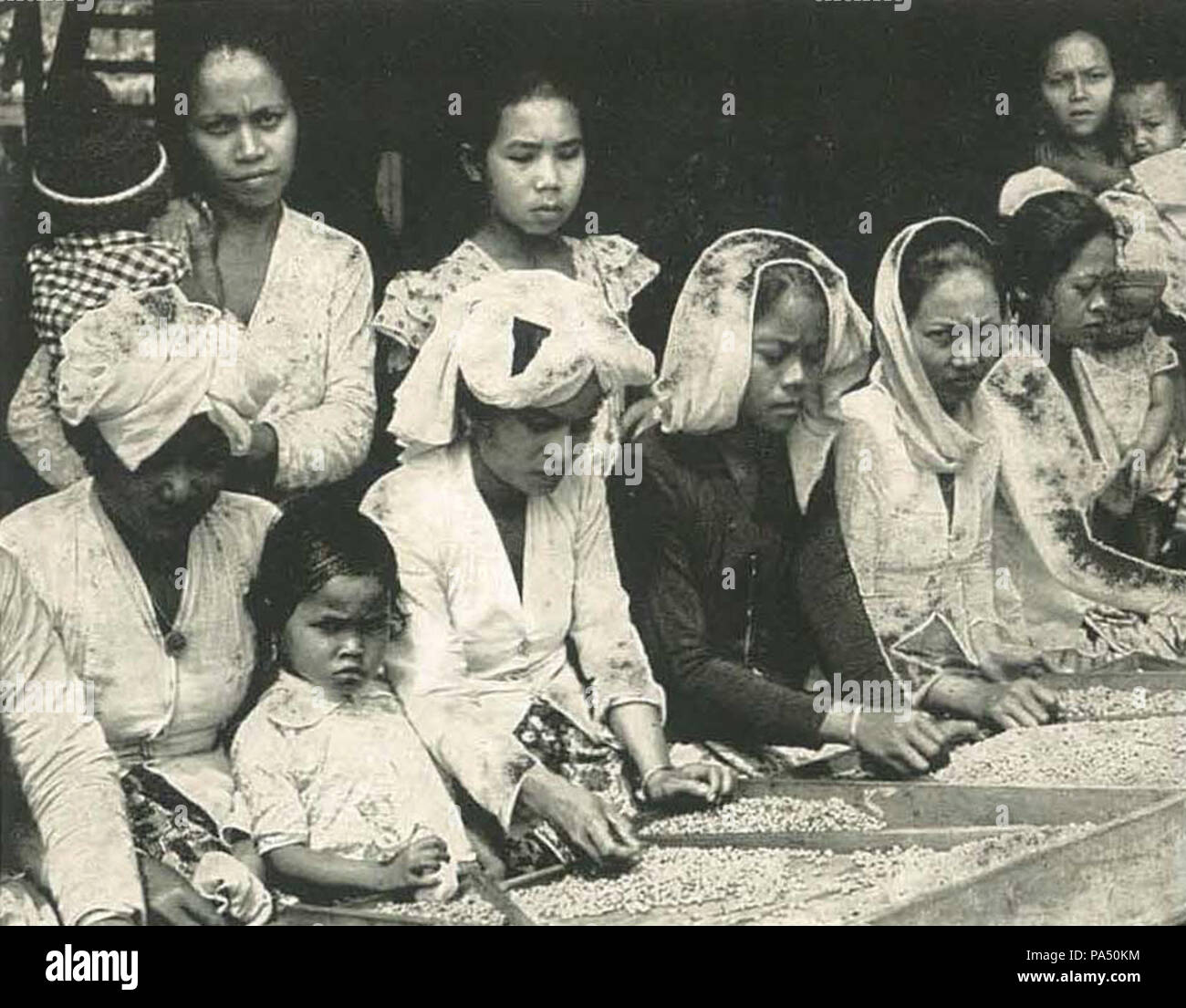 332 Women sorting through harvest, Wanita di Indonesia p89 (Stoomvart ...