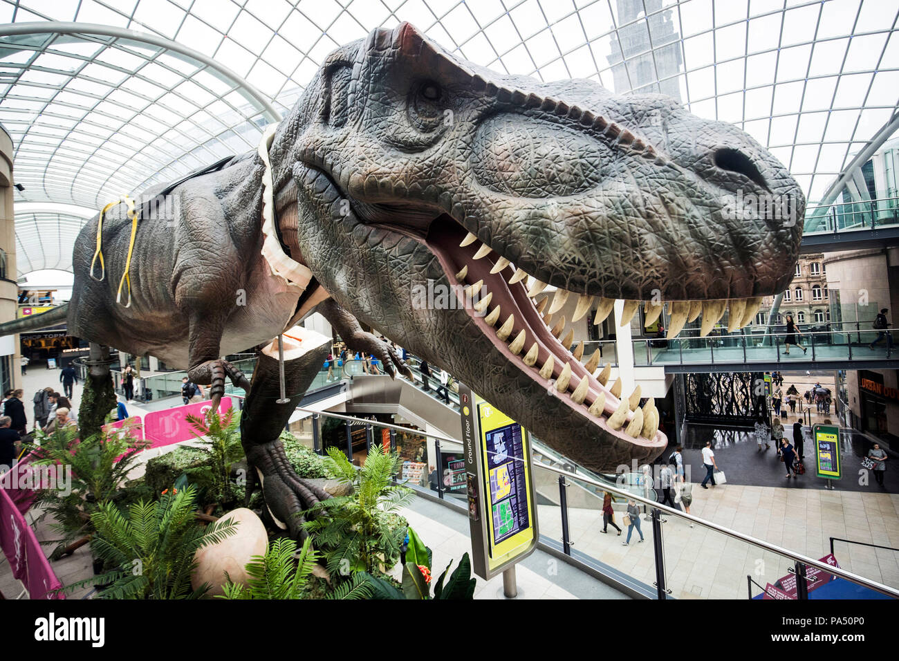The UKÕs largest animatronic T-Rex which stands at 18 metres long and 8 ...