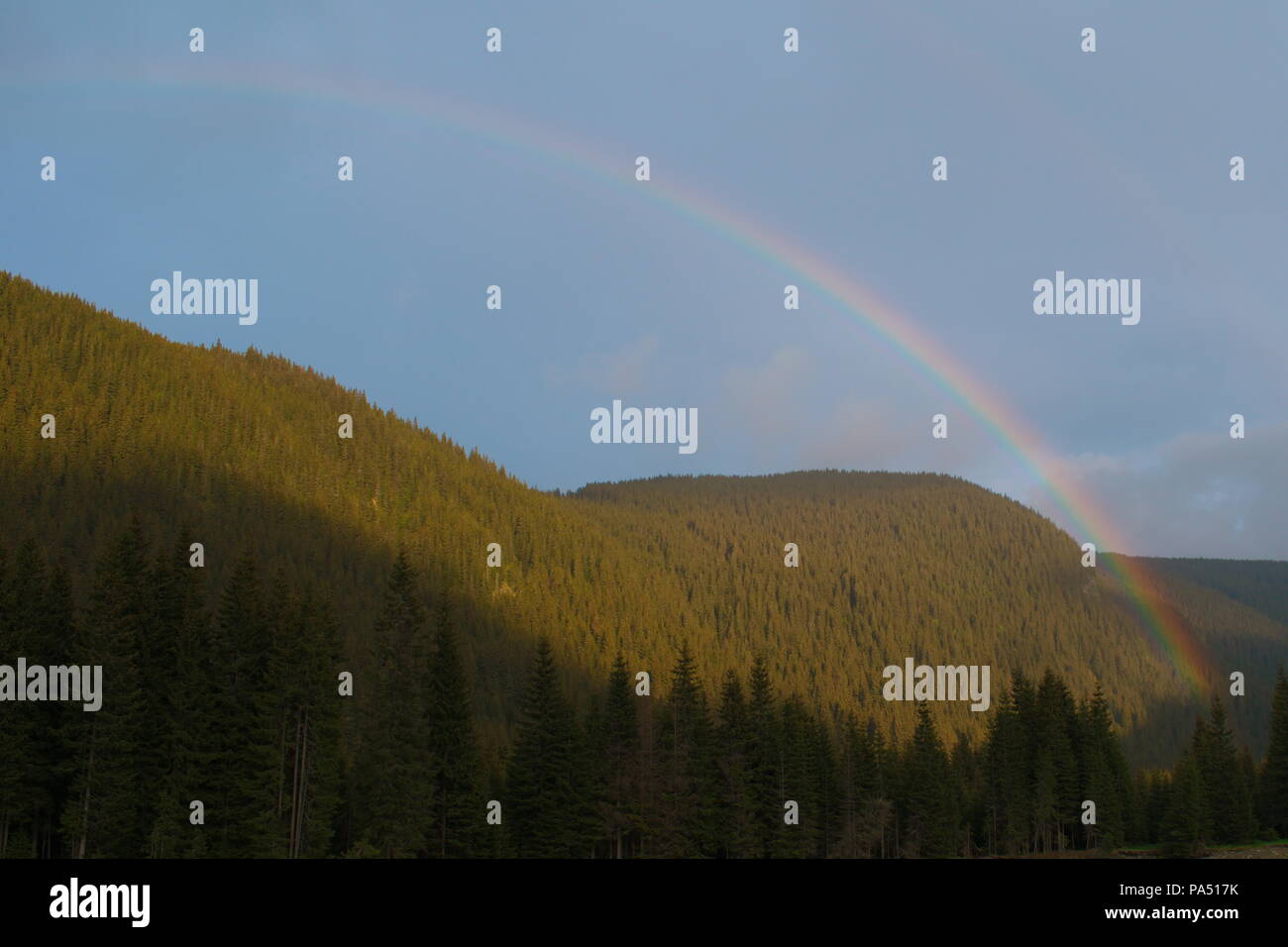 Rainbow over the forest hi-res stock photography and images - Alamy