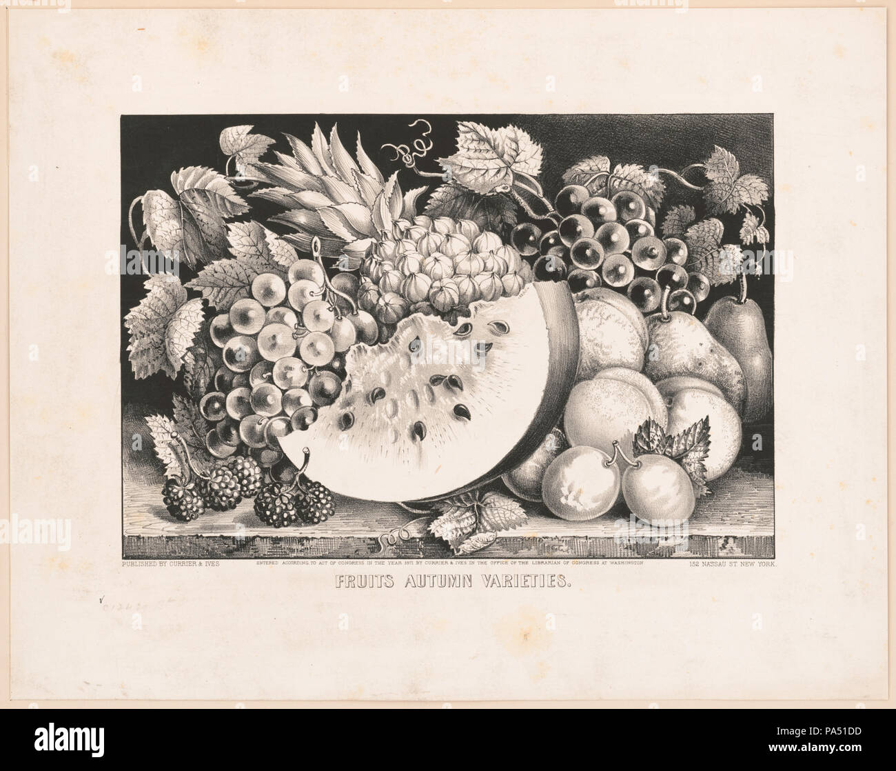 Classification of fruits hi-res stock photography and images - Alamy