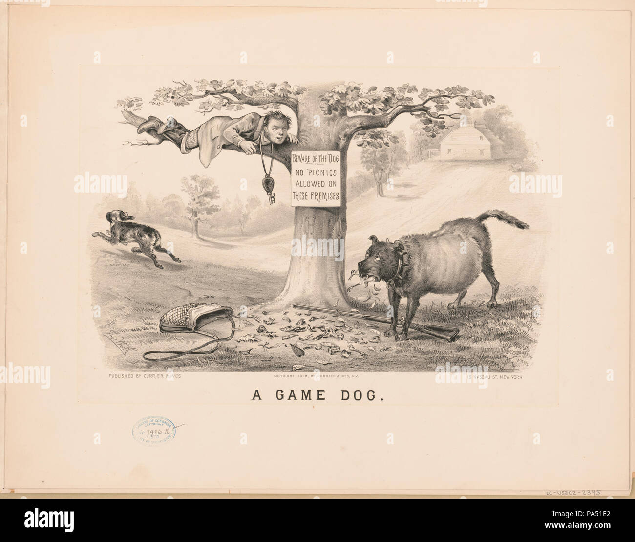 80 A game dog LCCN2001699791 Stock Photo - Alamy