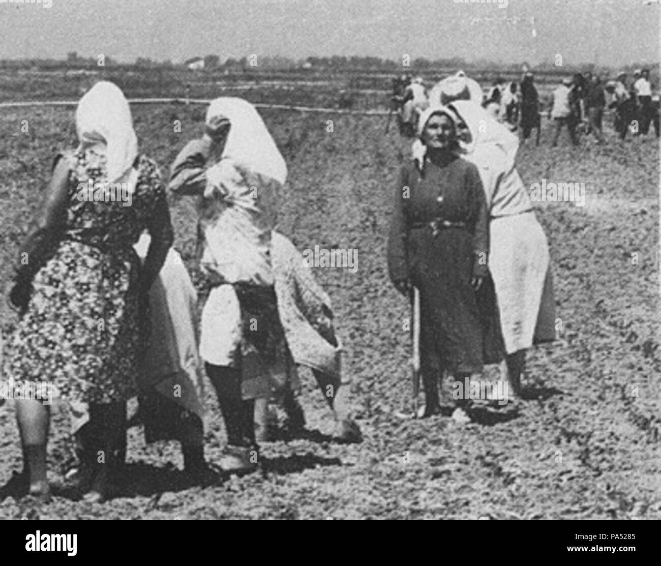 Farmhand at work Black and White Stock Photos & Images - Alamy