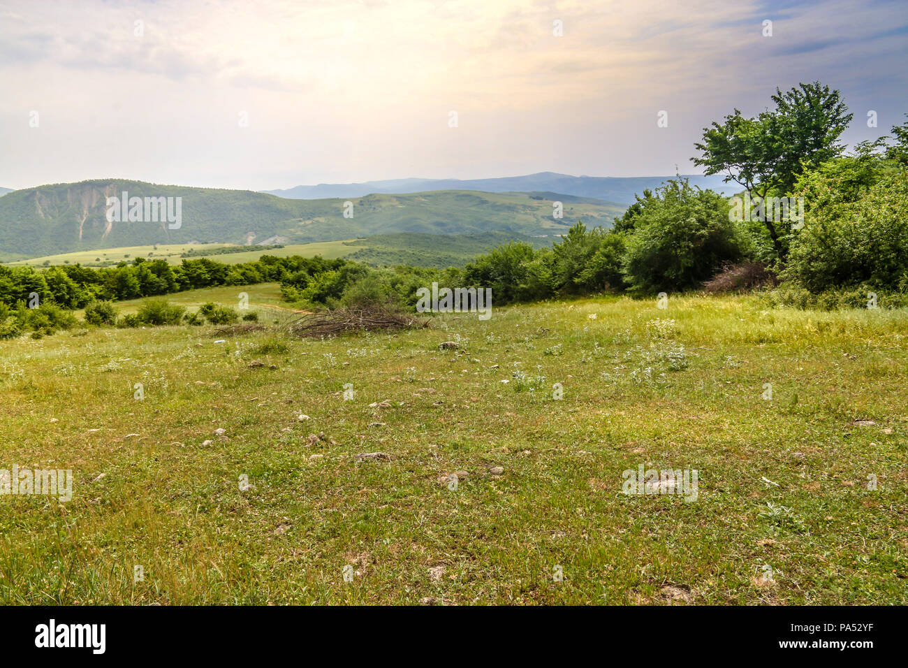 Meadow view hi-res stock photography and images - Alamy
