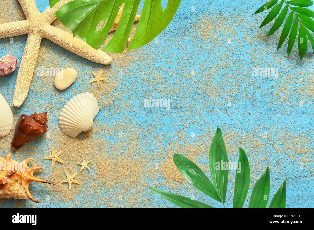Tropical Background. Palm Trees Branches with starfish and seashell on ...