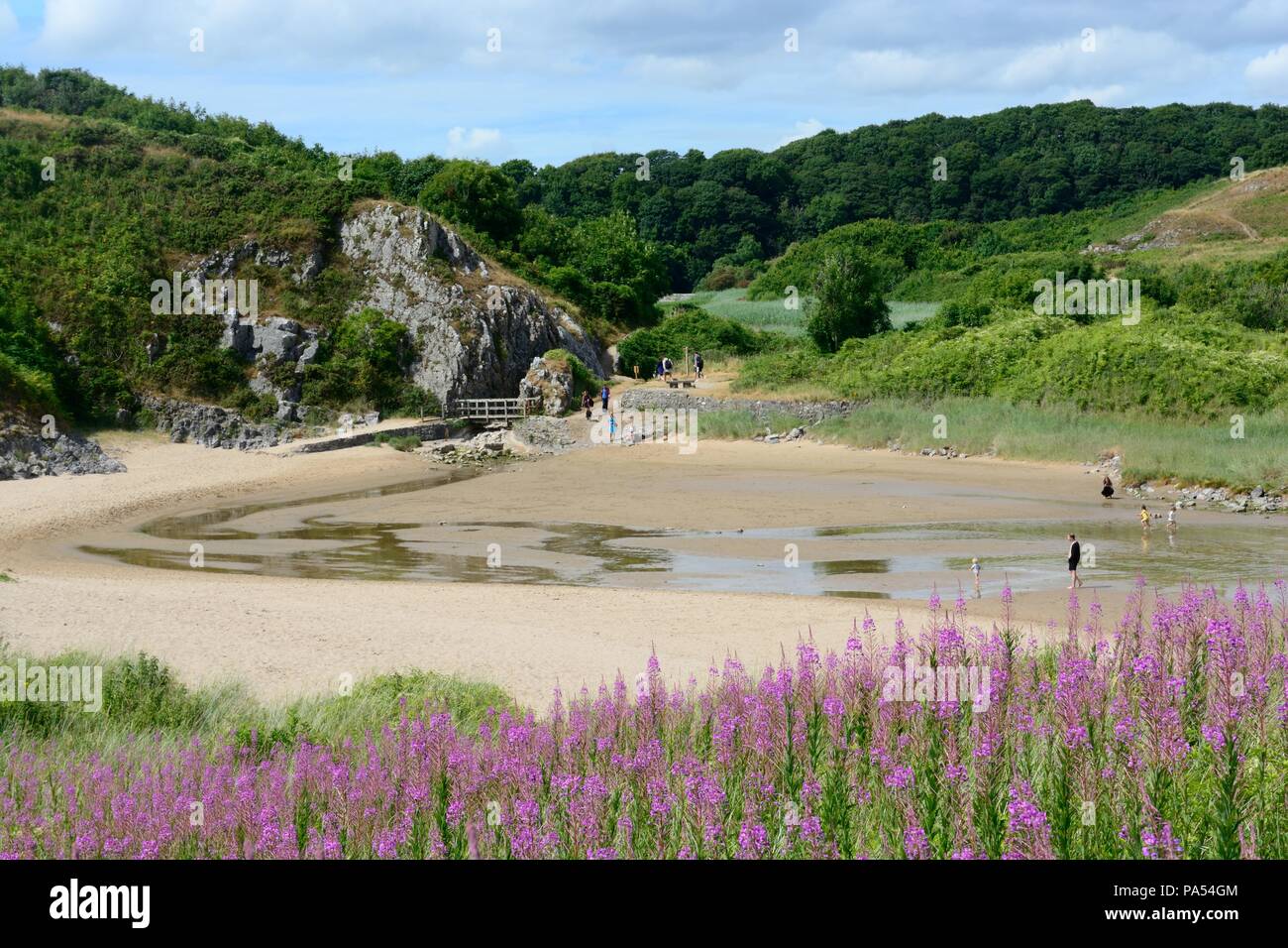 Lily beach hi-res stock photography and images - Alamy