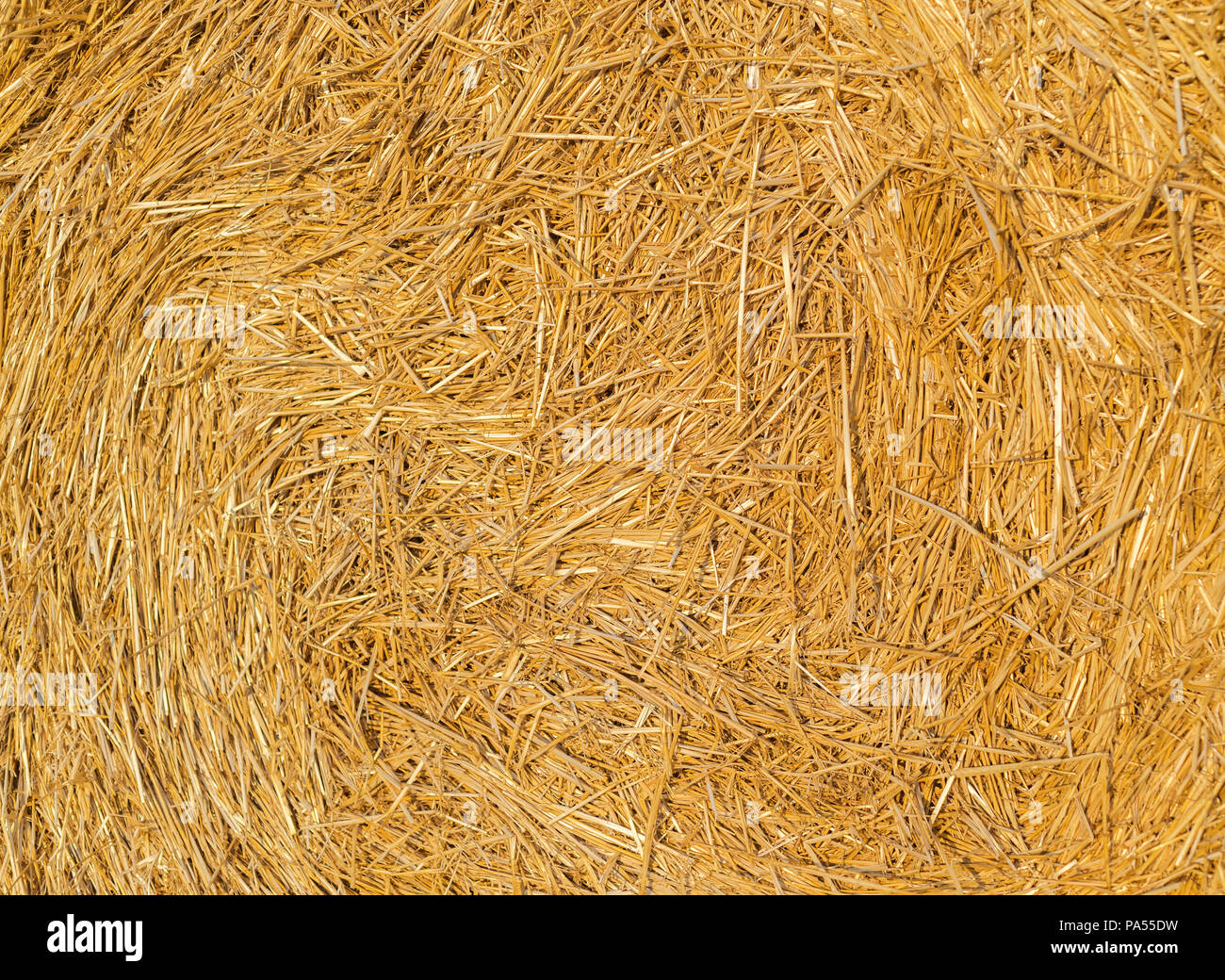 straw background or texture Stock Photo - Alamy