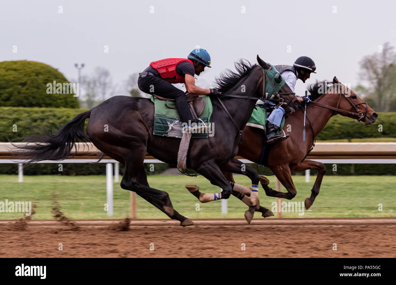 Two Horses Race for Morning Workouts with jockey silhouettes Stock ...