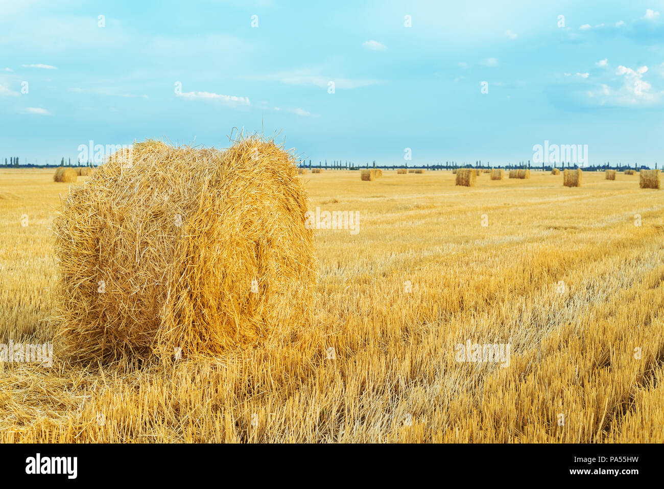 Time after sunset natural background hi-res stock photography and ...