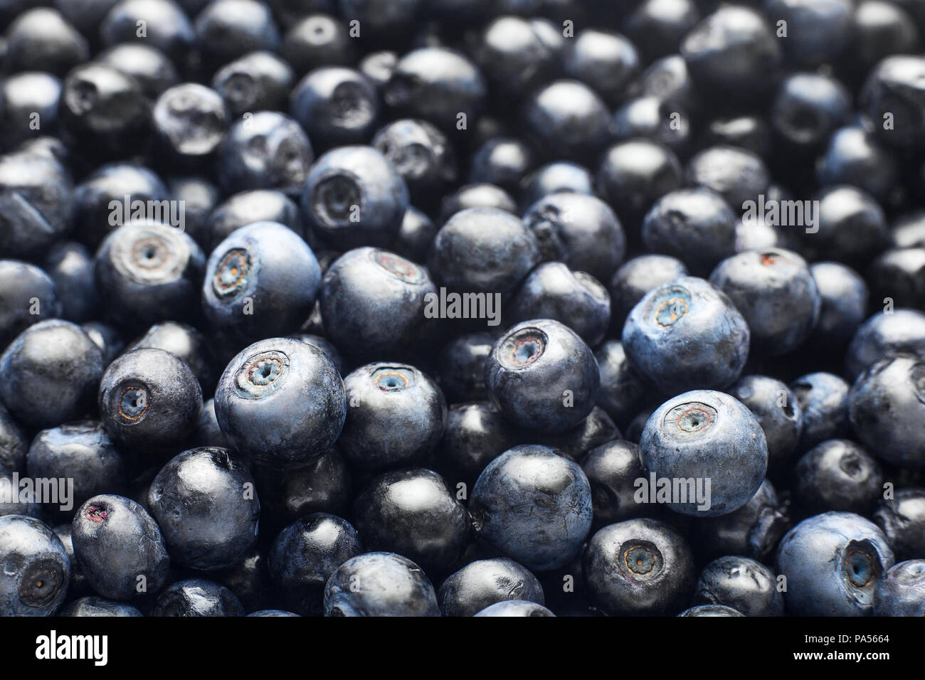 fresh blueberries, background Stock Photo - Alamy