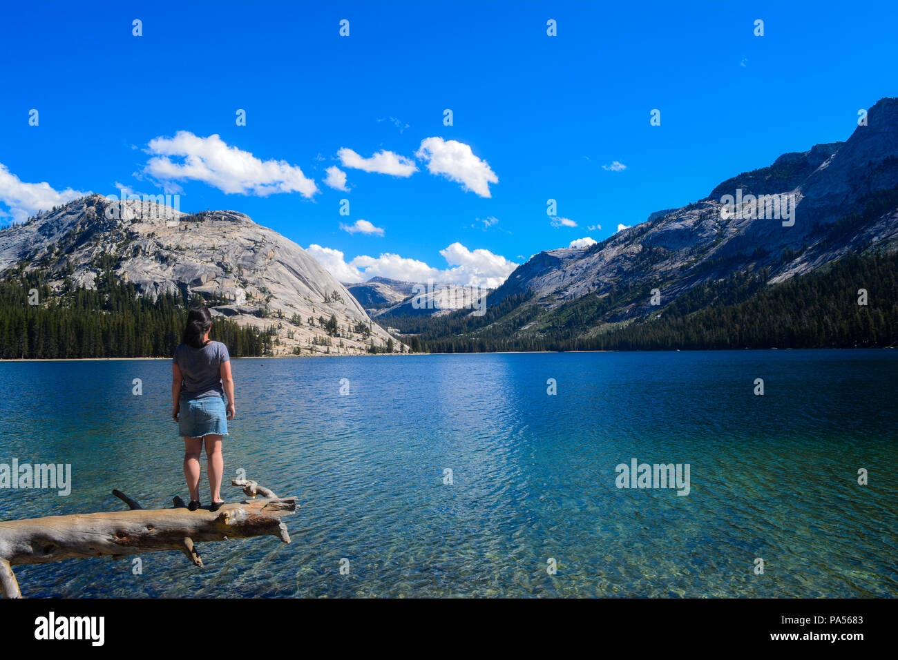 Optimism summer hi-res stock photography and images - Alamy