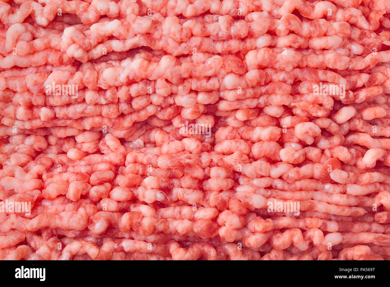 minced meat, pork, beef, forcemeat, isolated on white background Stock ...