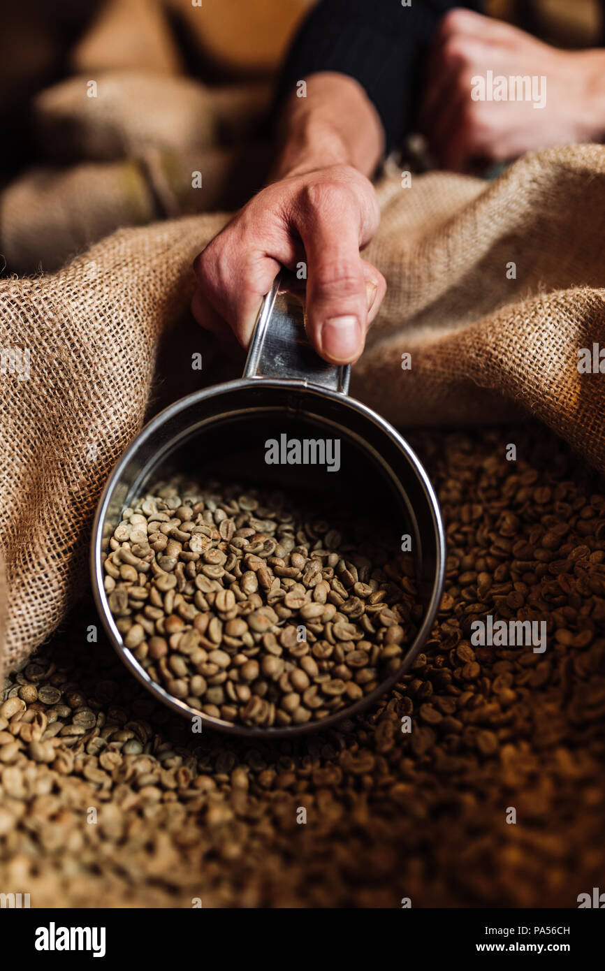 Coffee quality control hi-res stock photography and images - Alamy