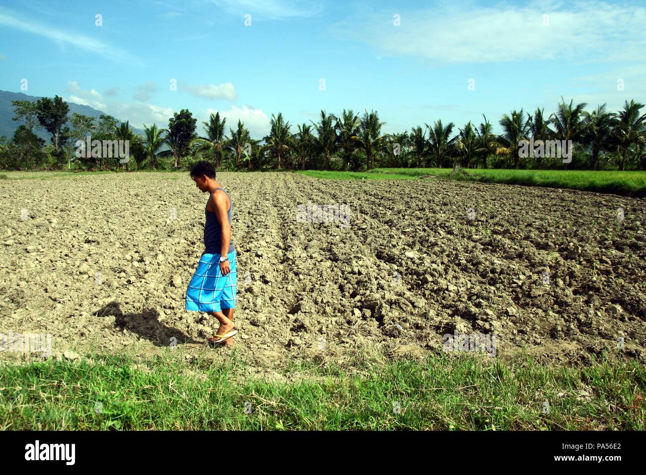 ILOILO CITY, PHILIPPINES - OCTOBER 29, 2015: A farmer walks on a dried ...