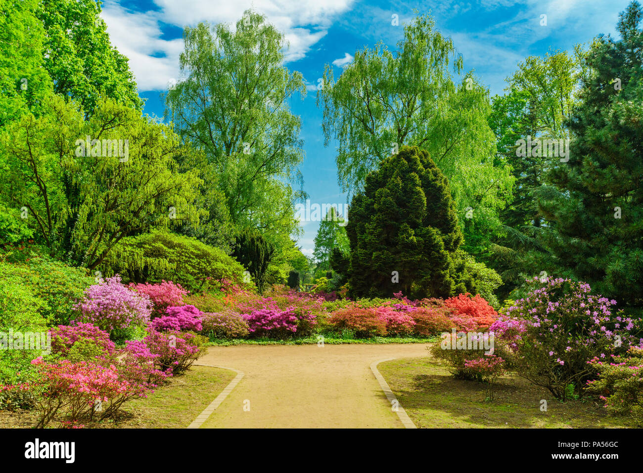 Beautiful garden in spring Stock Photo - Alamy