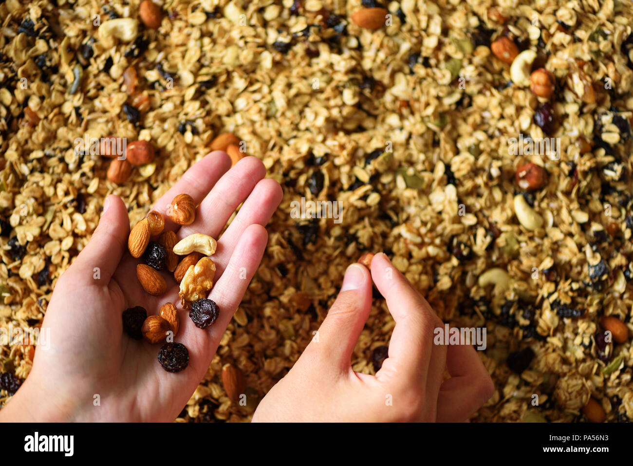 Female hand holds granola against the background of baking sheet with ...