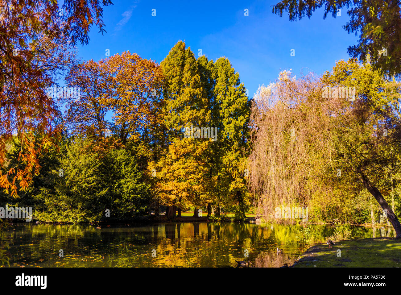 Wonderful Landscape. Colorful Autumn scene Stock Photo - Alamy