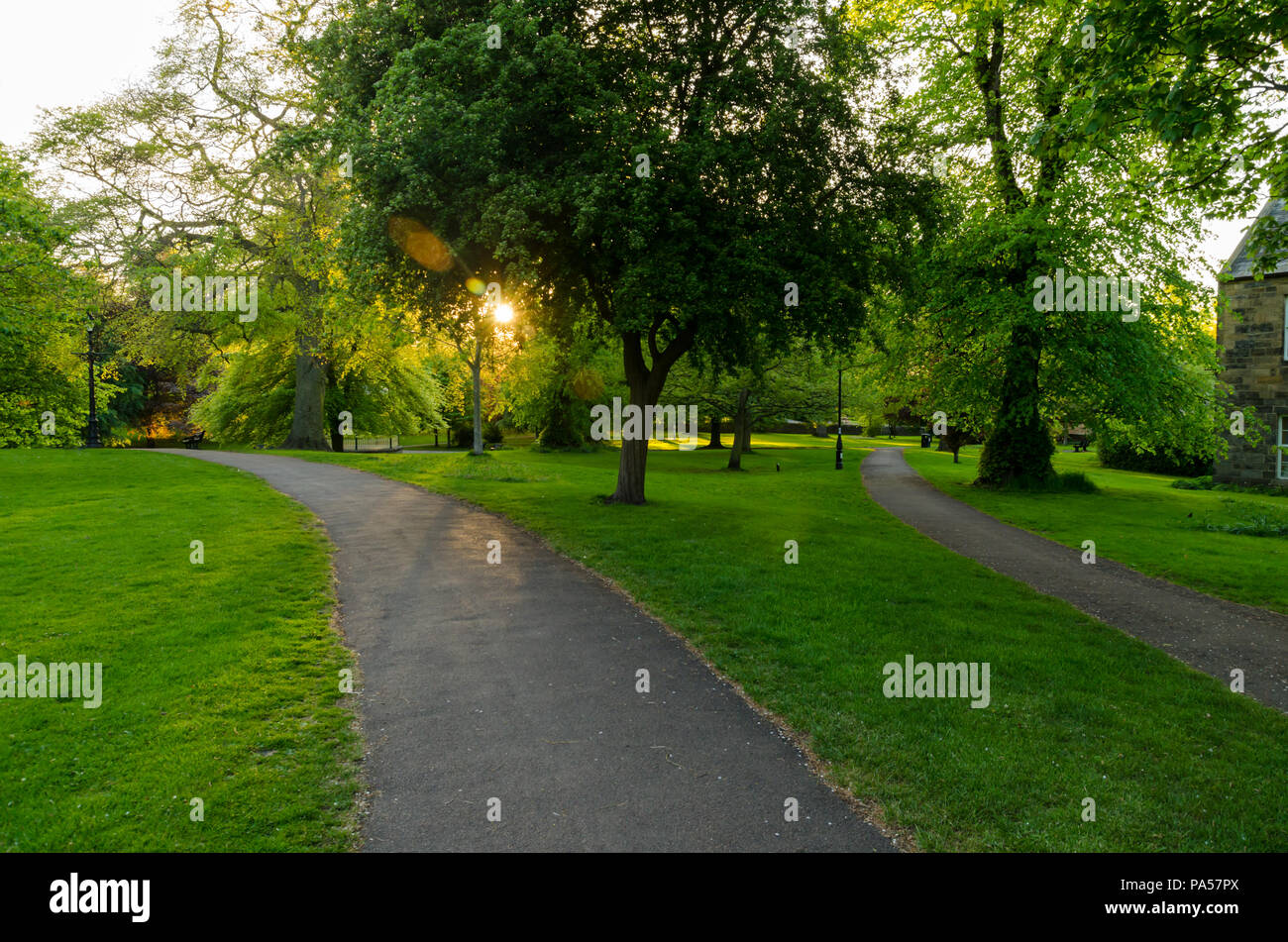 Hexham parks pathways hi-res stock photography and images - Alamy