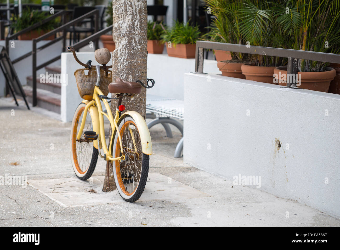 Yellow bike resting against a tree in Clearwater, Florida Stock Photo ...
