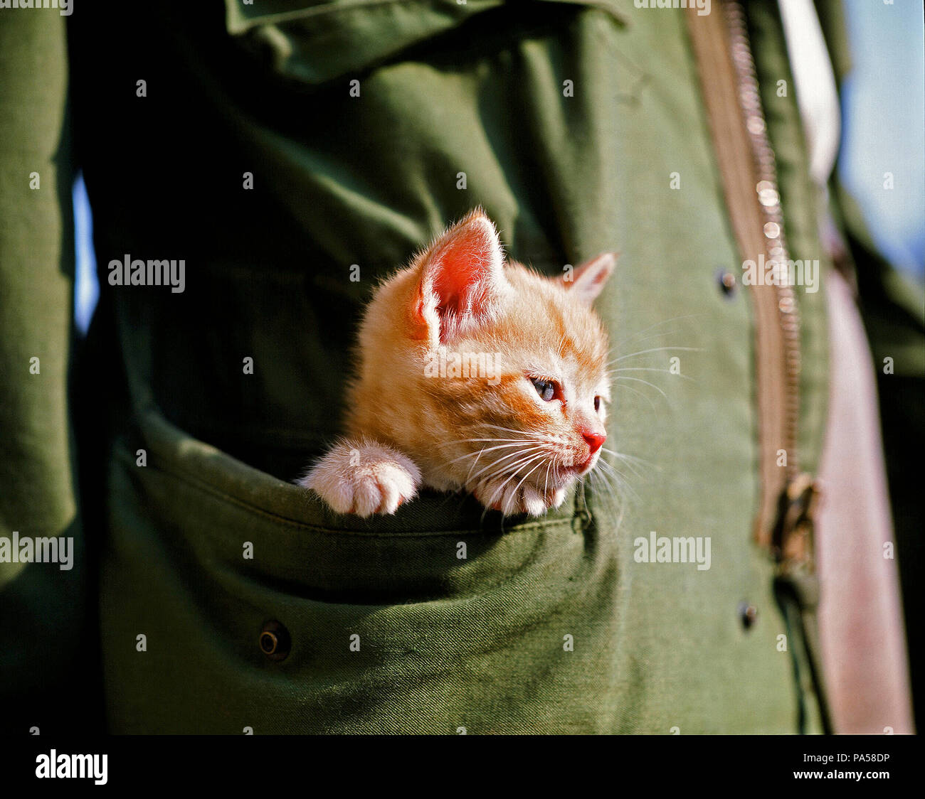 Pocked hi-res stock photography and images - Alamy