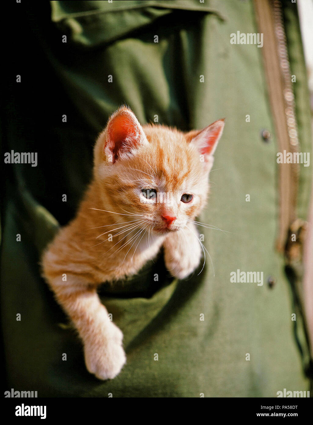 Pocked hi-res stock photography and images - Alamy