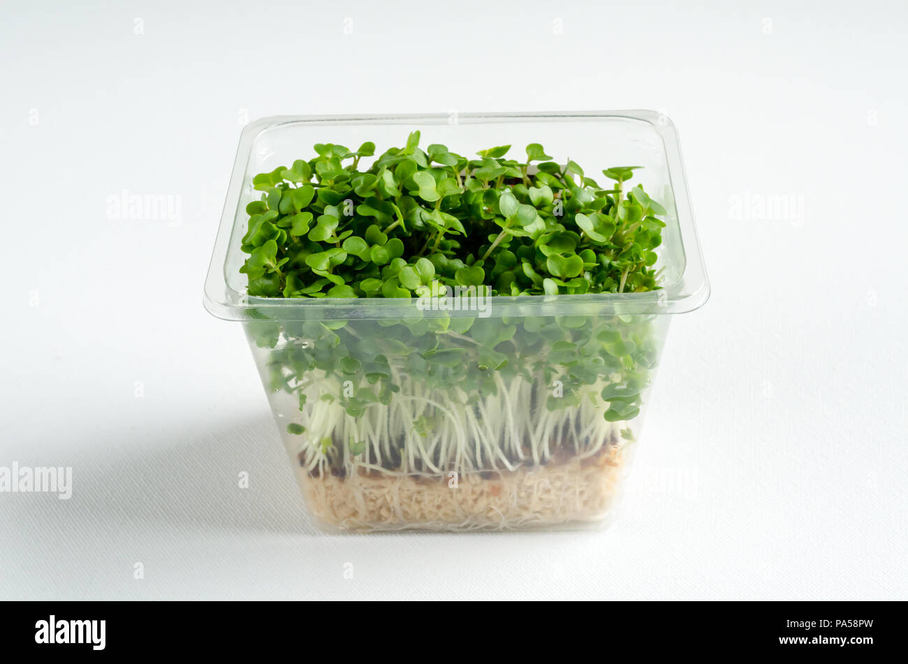 Mustard and cress hi-res stock photography and images - Alamy