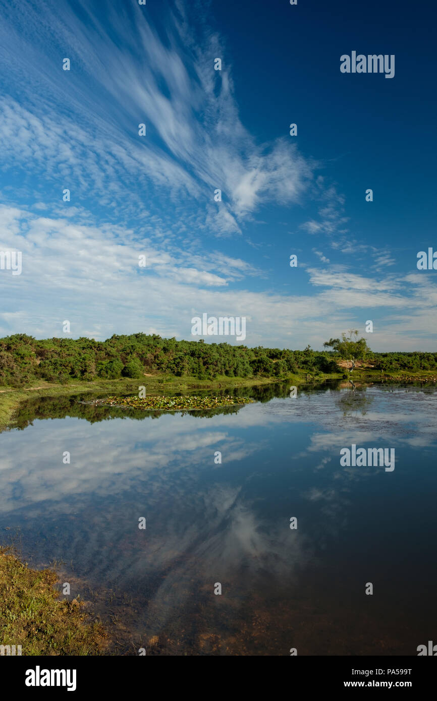 Little hatchet pond hi-res stock photography and images - Alamy
