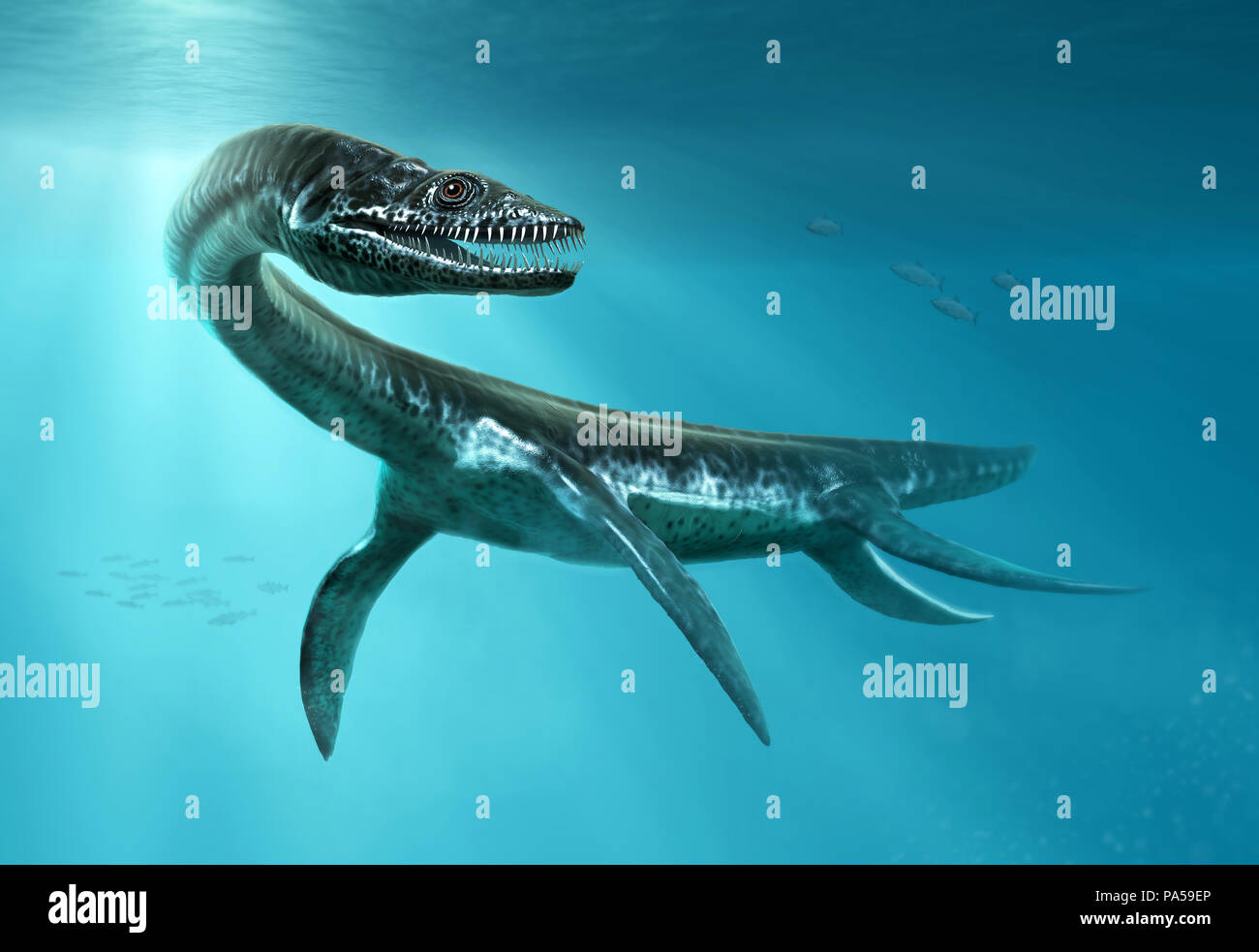 Plesiosaurus hi-res stock photography and images - Alamy