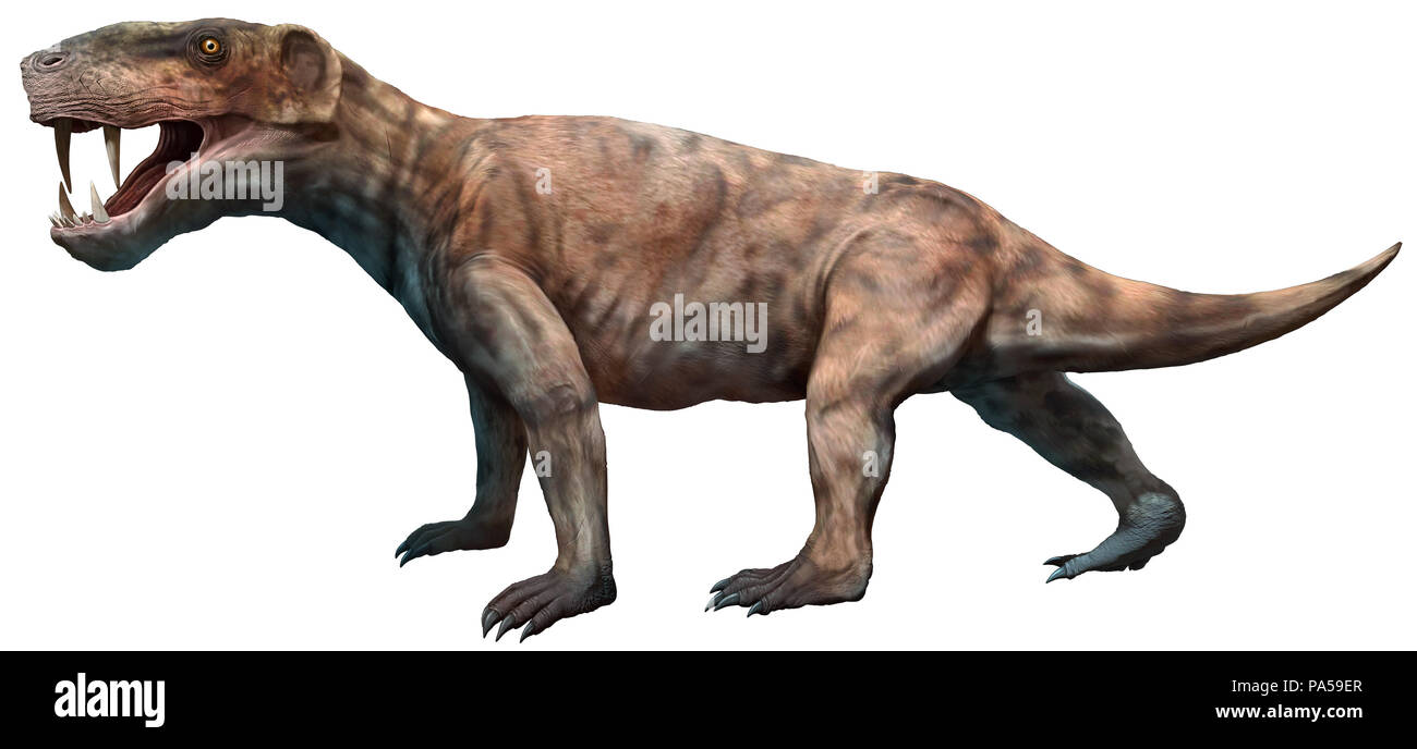 Gorgonopsidae hi-res stock photography and images - Alamy