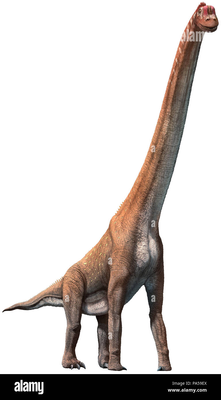 Giraffatitan 3D illustration Stock Photo - Alamy