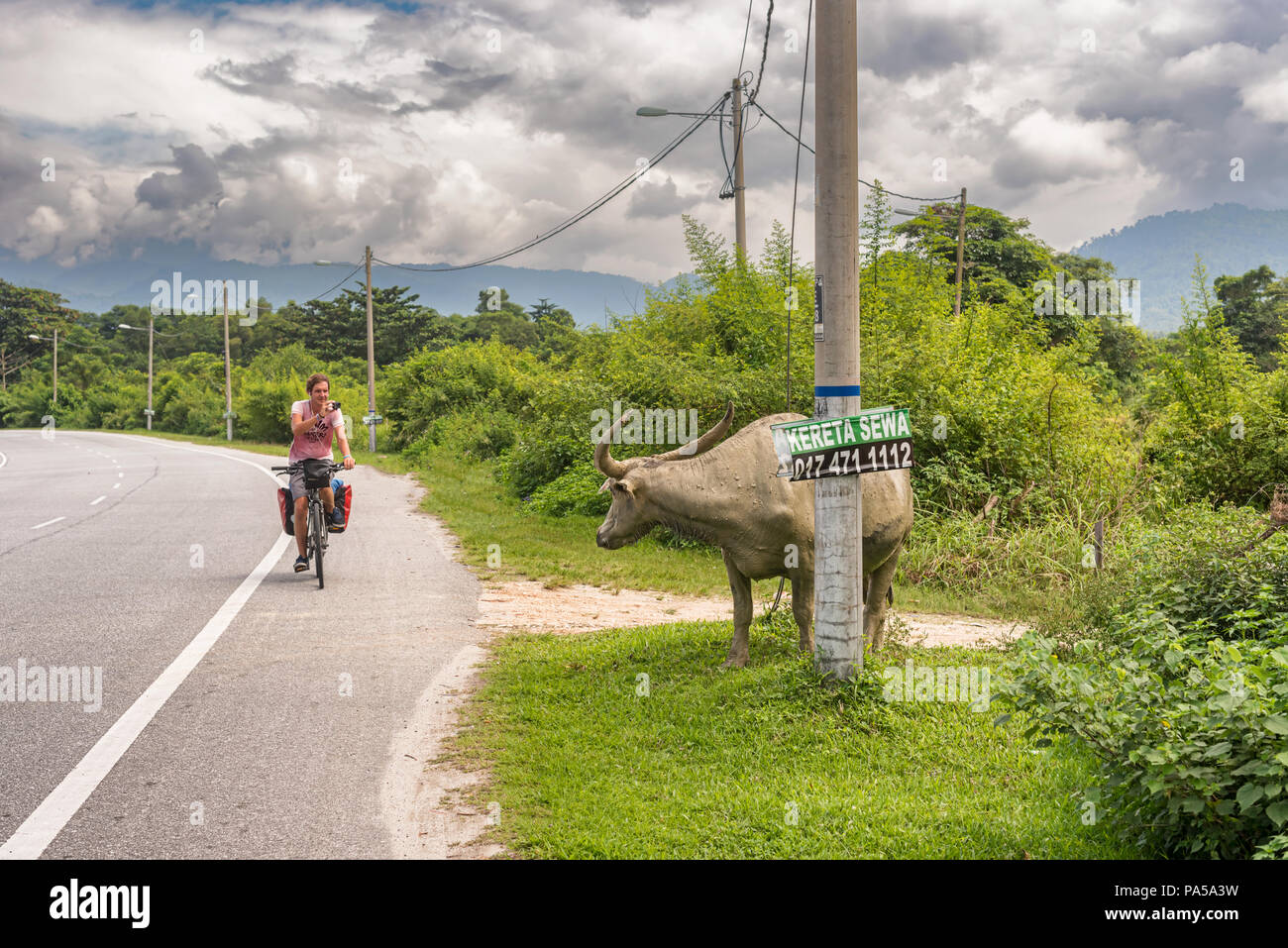Perak, Malaysia - December 11, 2017: Man riding bicycle and taking ...