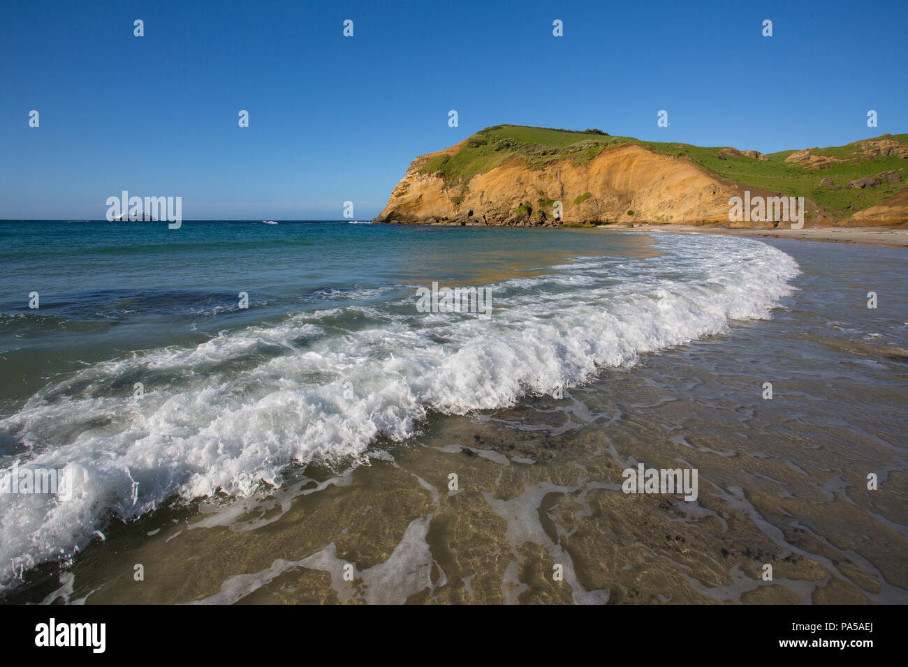 Beach on Pitt Island, Chatham Islands Stock Photo - Alamy