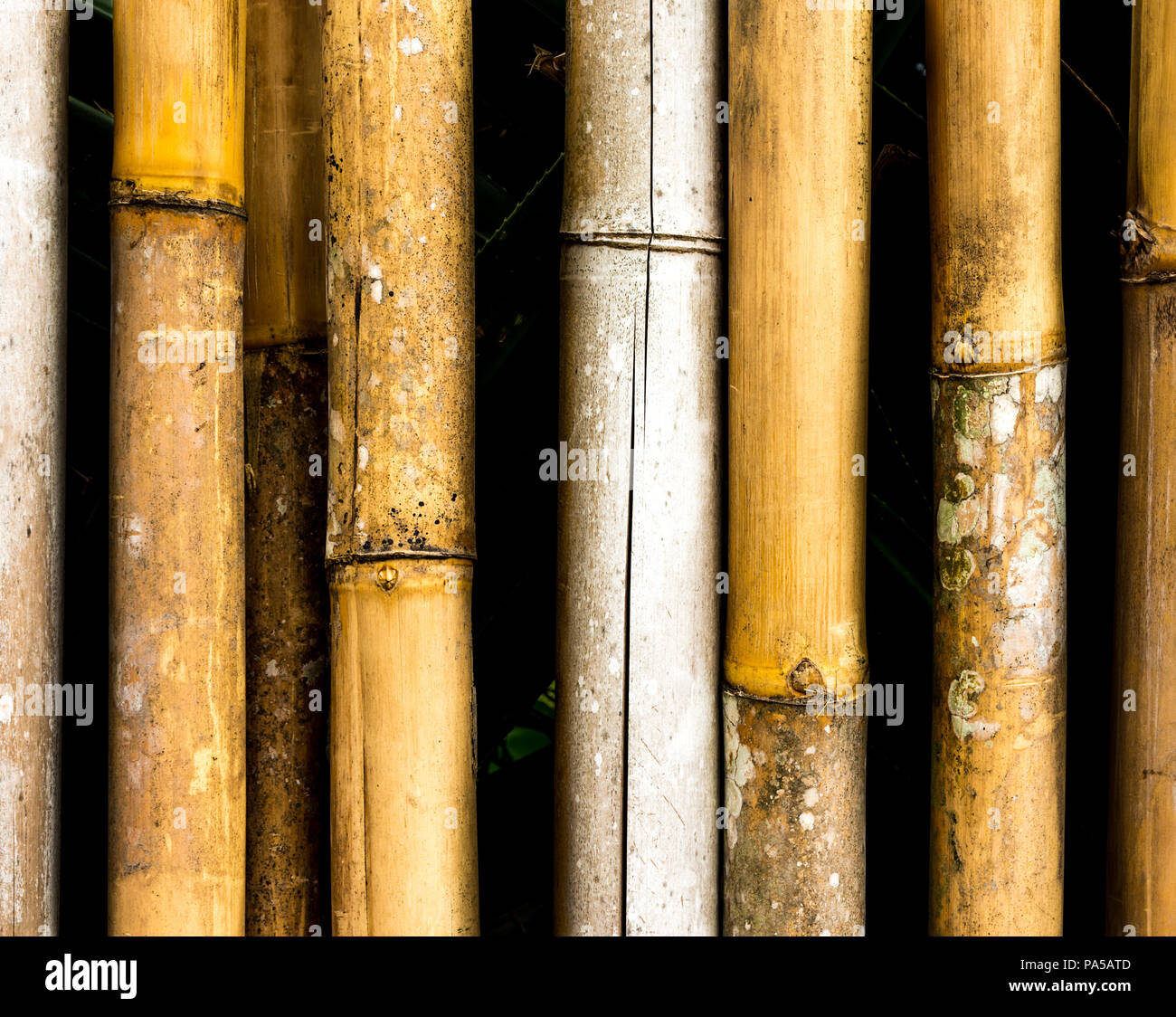 Bamboo stake background with dark shadows Stock Photo - Alamy
