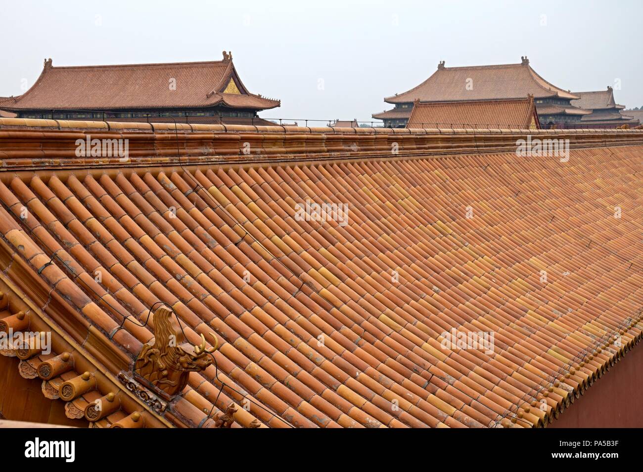 Decorative roofs of ancient pavilions in Forbidden City in Beijing ...
