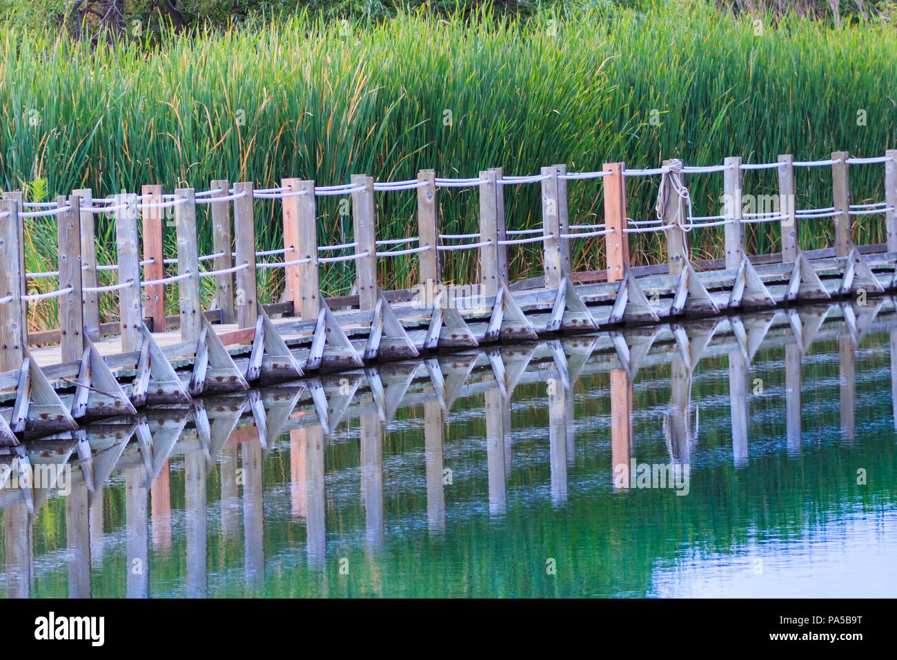 Floating boardwalk hi-res stock photography and images - Alamy