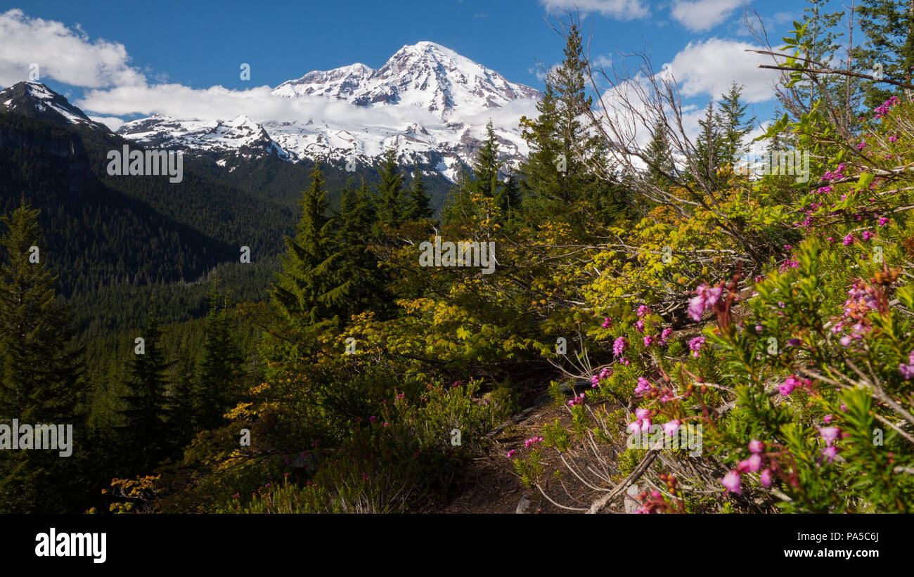 Mt rainier snow hi-res stock photography and images - Alamy