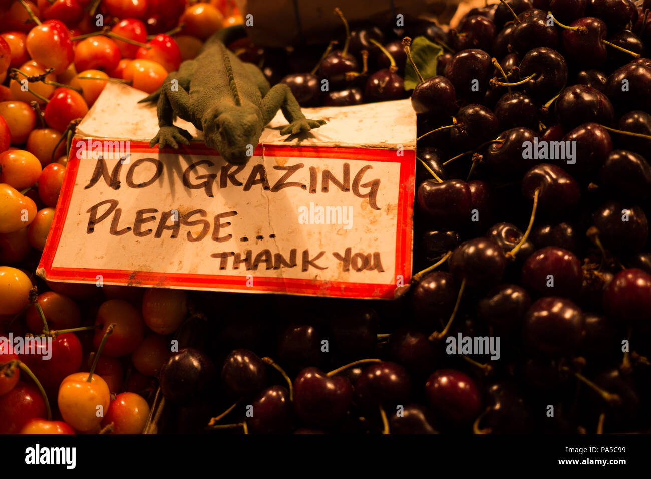 Please no sitting hi-res stock photography and images - Alamy